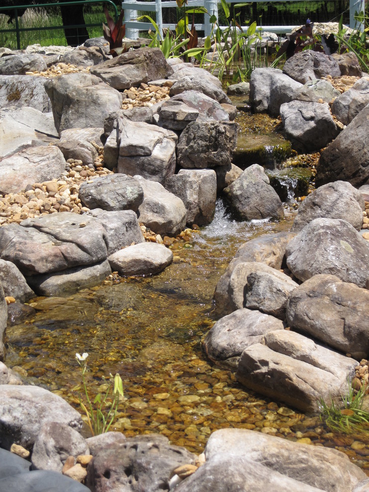 Large Koi Pond with Grey Garden Boulders and Ledge rock - Traditional ...