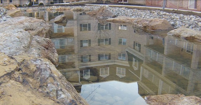 Large Scale Water Feature - Garden - Other - by C.E. Pontz Sons | Houzz IE