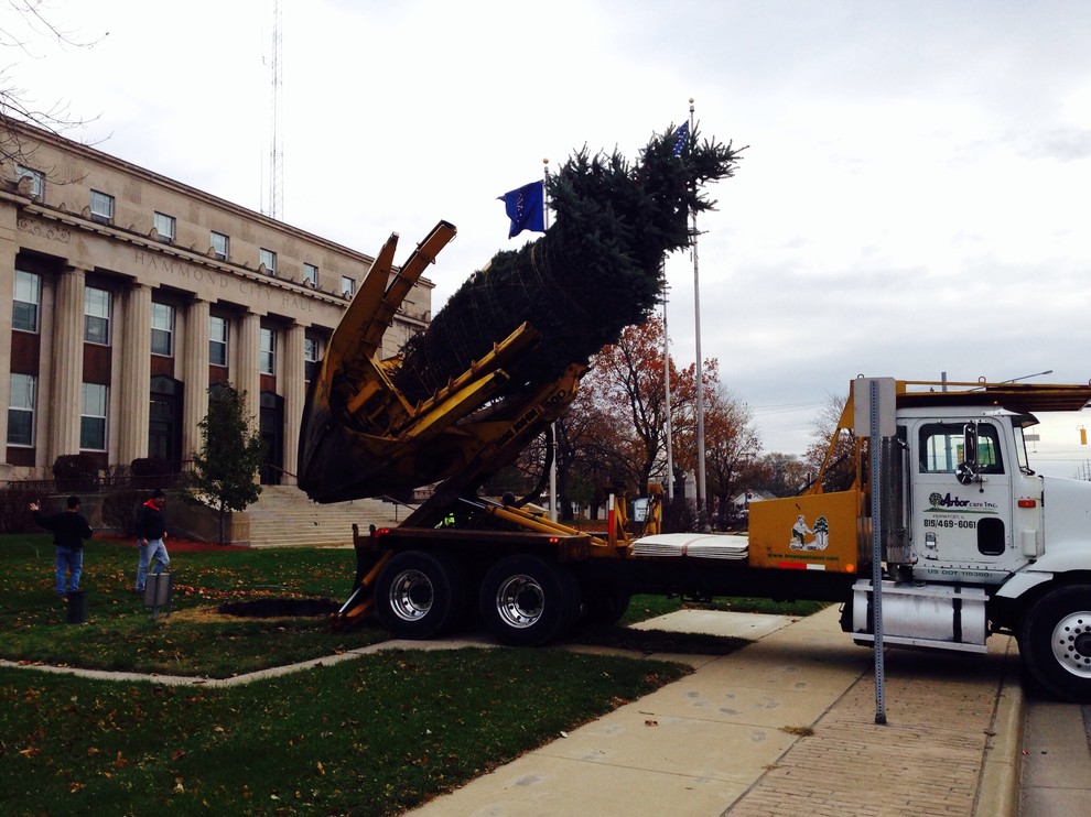 Large tree installation - Landscape - Chicago - by Arbor Care, Inc. | Houzz