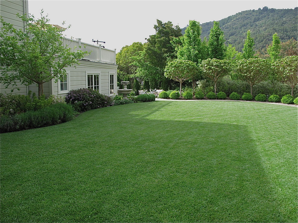 Larkspur Classic - Traditional - Landscape - San Francisco - by ...