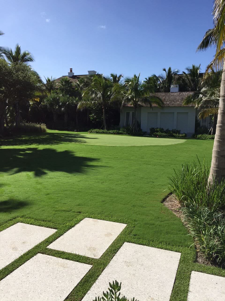 Bermuda Grass Landscape