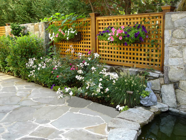 Landscaping With Lattice Lattice Fence W/ Old English Lattice