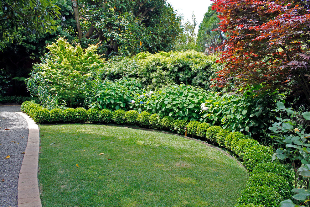 Lawn and Buxus Border - Traditional - Landscape - San Francisco - by ...
