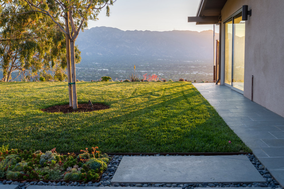 Lawn and slate paving with succulents and trees - Modern - Landscape ...