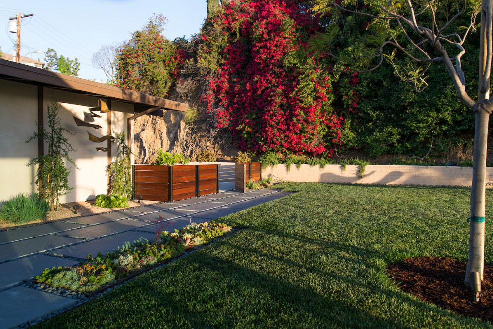 Lawn area, succulents and concrete pavers - Modern - Landscape - Los ...