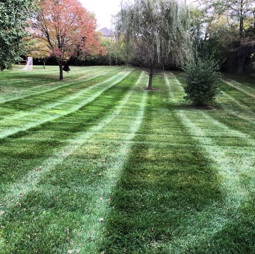 Lawn Care & Landscaping - Traditional - Landscape - Cincinnati - by ...