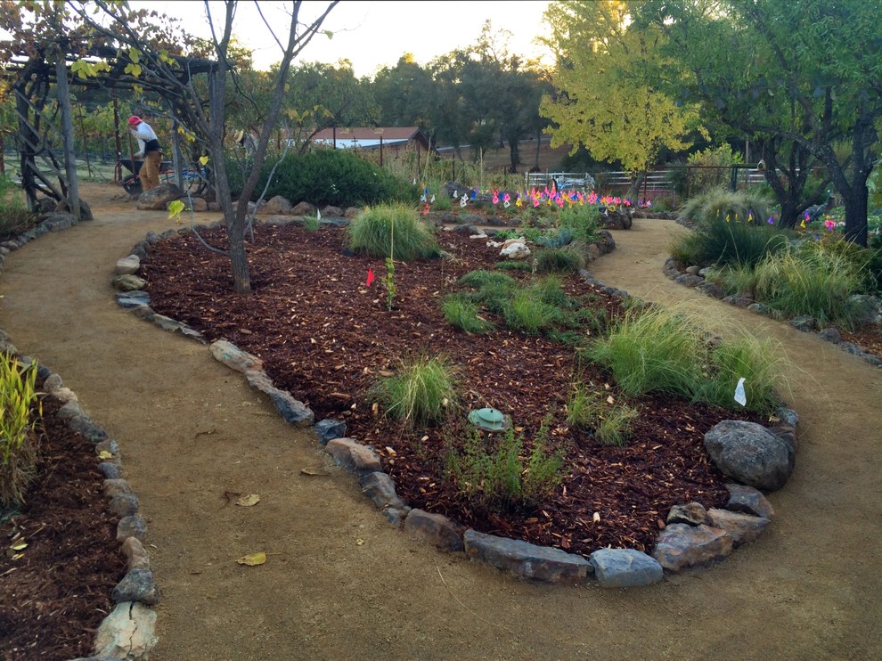 Lawn Conversion, Shingle Springs, CA - Rustic - Landscape - Sacramento ...