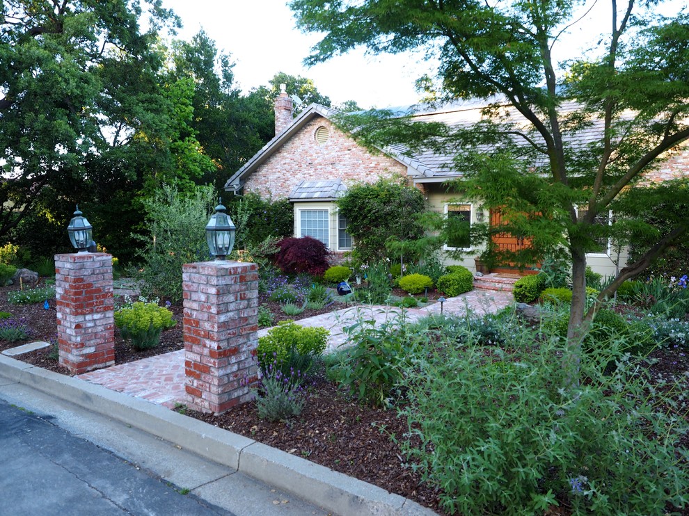 Lawn Replacement in a Challenging Environment - Traditional - Landscape ...