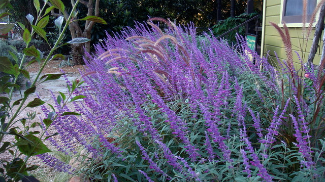 Leveridge Landscape Design - Garden - Austin - by Leveridge Landscape ...