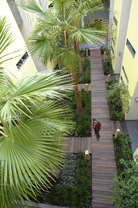 Lew Hing Garden - Contemporary - Landscape - San Francisco - by Miller ...