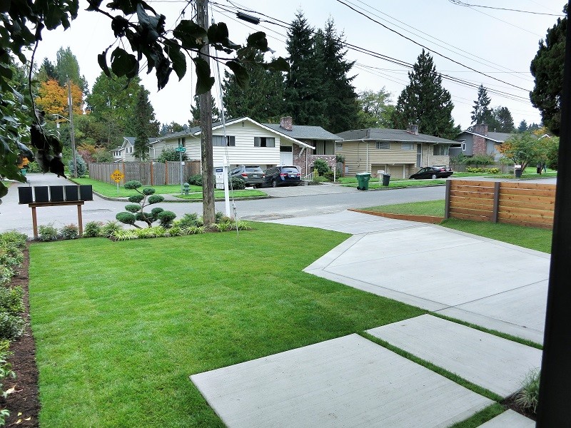 Lickety-Split - Modern - Landscape - Seattle - by True Scape Design | Houzz