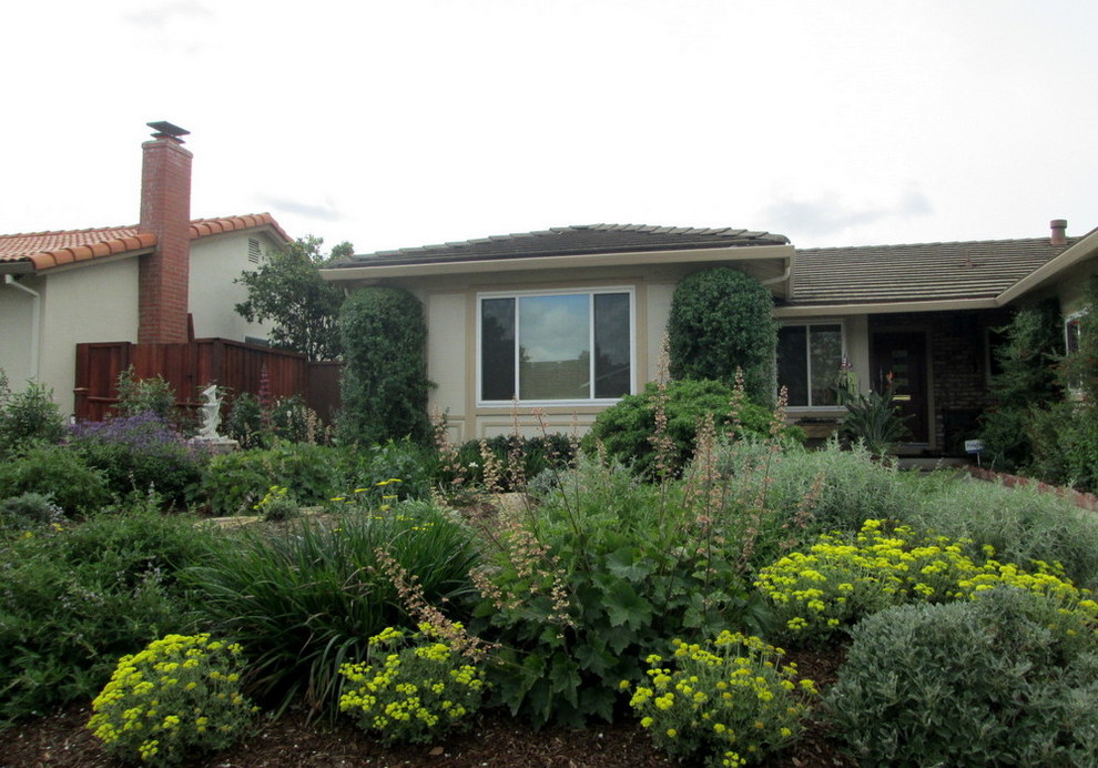 Lily's Rustic California Native Garden - Rustic - Landscape - San ...