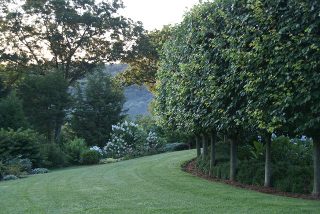 Limbed up and pruned Linden trees create a hedge that creates a garden ...