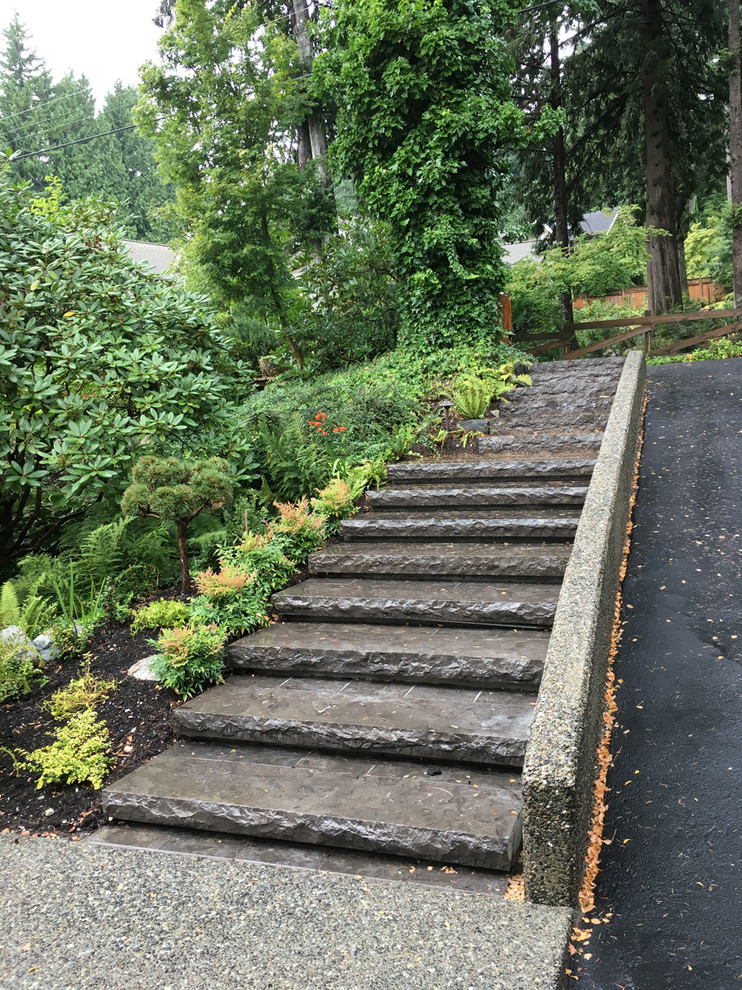 Limestone Steps with Indirect Lighting - Transitional - Landscape ...