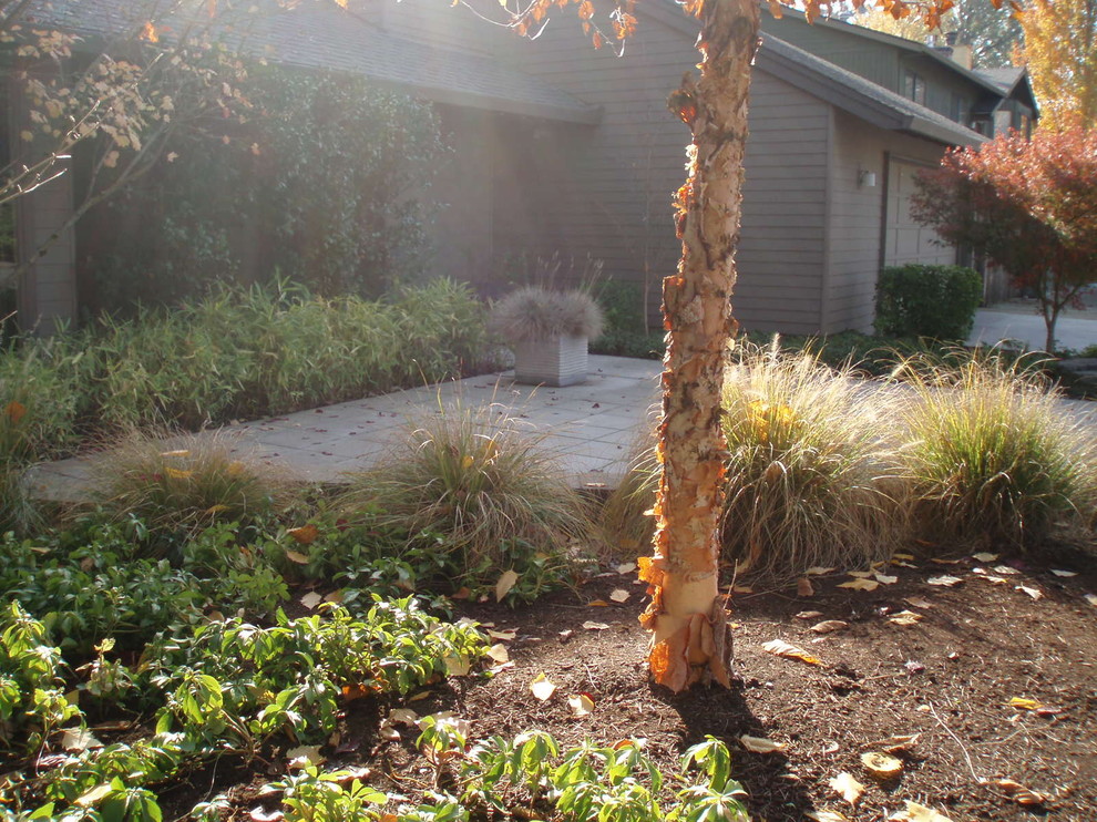 Linda Engstrom - Contemporary - Landscape - Portland - by Garden ...