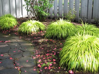 Linda Engstrom - Mediterranean - Landscape - Portland - by Garden ...