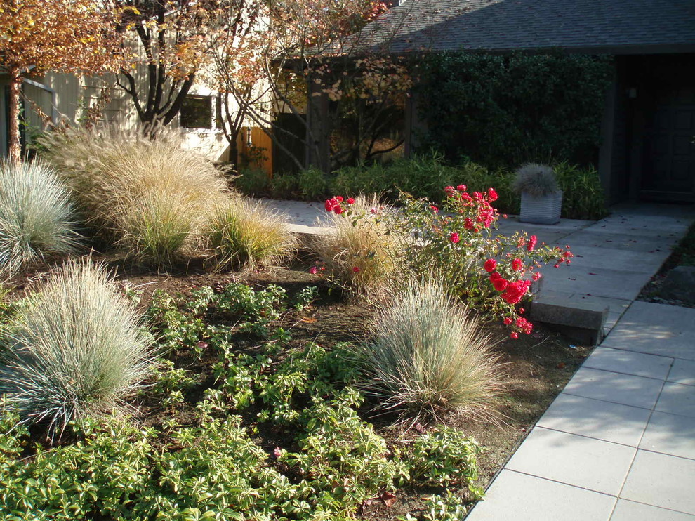 Linda Engstrom - Contemporary - Landscape - Portland - by Garden ...