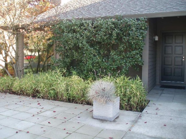 Linda Engstrom - Contemporain - Jardin - Portland - par Garden ...