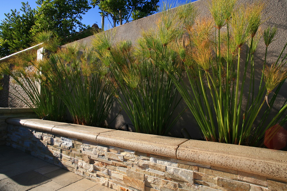 Lisa Cox Landscape Design - Traditional - Landscape - Los Angeles - by ...