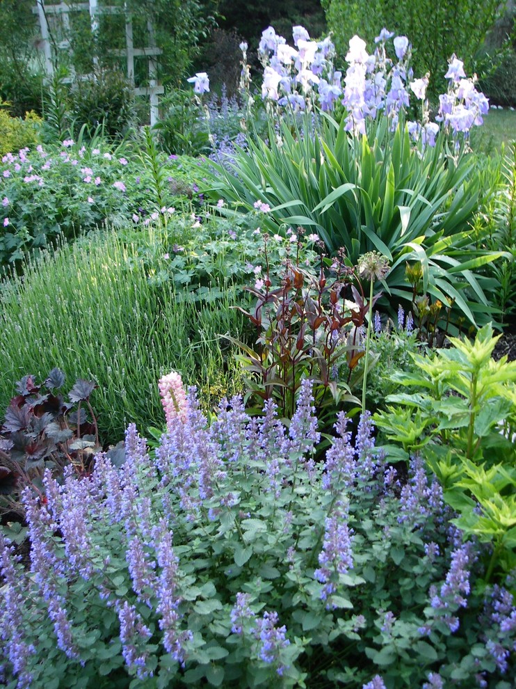 Littlefield Farm : My Garden - Traditional - Landscape - Boston - by ...