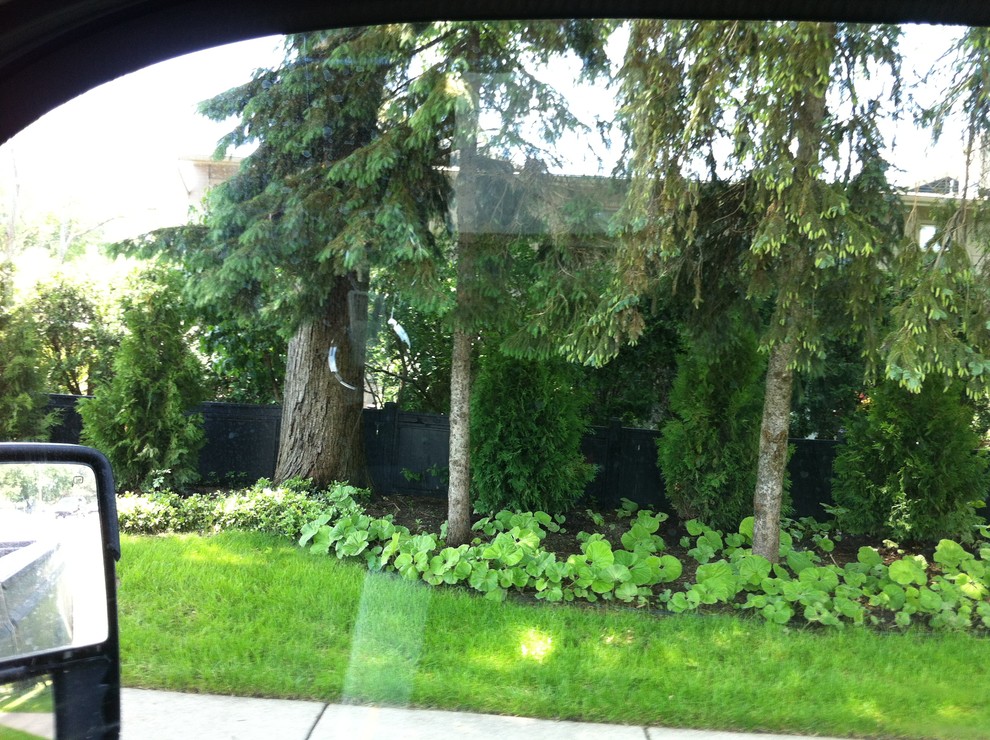 Living Wall Natural Screen - Traditional - Landscape - Detroit - by ...