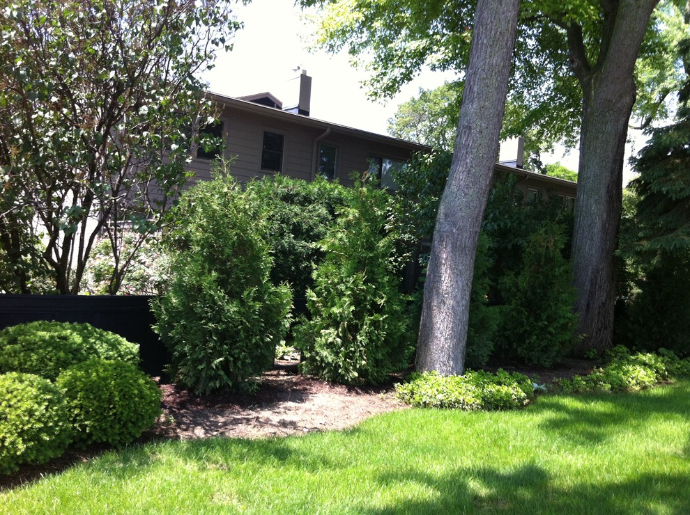 Living Wall Natural Screen - Traditional - Landscape - Detroit - by ...