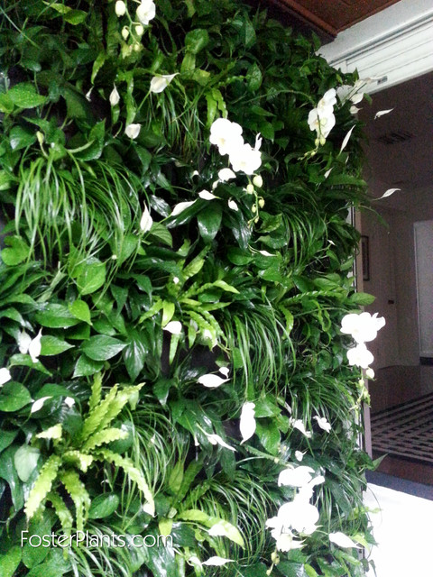Living Walls | Easy+Plant+Walls | Greenwalls - Contemporáneo - Jardín ...