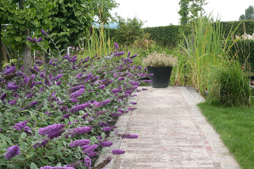 Lo & Behold® Butterfly Bush (Buddleia) - Modern - Landscape - Grand ...