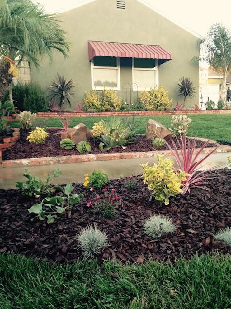 Long Beach Drought Tolerant Landscape - Mediterranean - Landscape ...