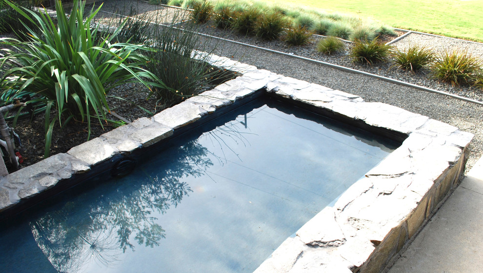 Long Beach Modern - Modern - Pool - Los Angeles - by June Scott Design ...