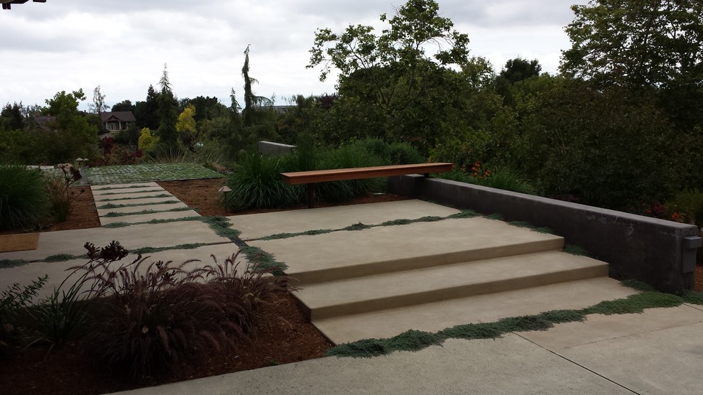 Los Altos Hills, CA - Modern - Landscape - San Francisco - by Habitat & Devries Landscape Design ...