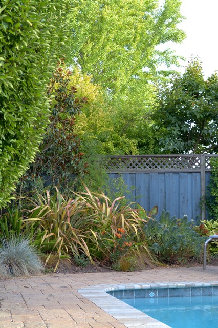 Los Altos Landscape Garden Design - Green Patio - Traditional - Garden ...