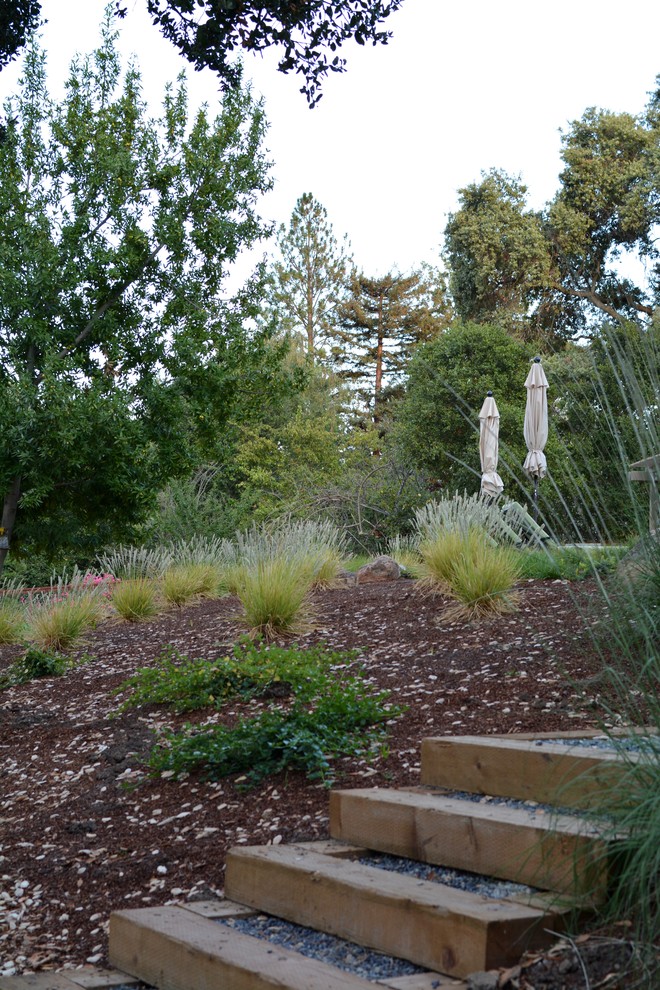 Los Altos Landscape Garden Design - Green Patio - Contemporary ...