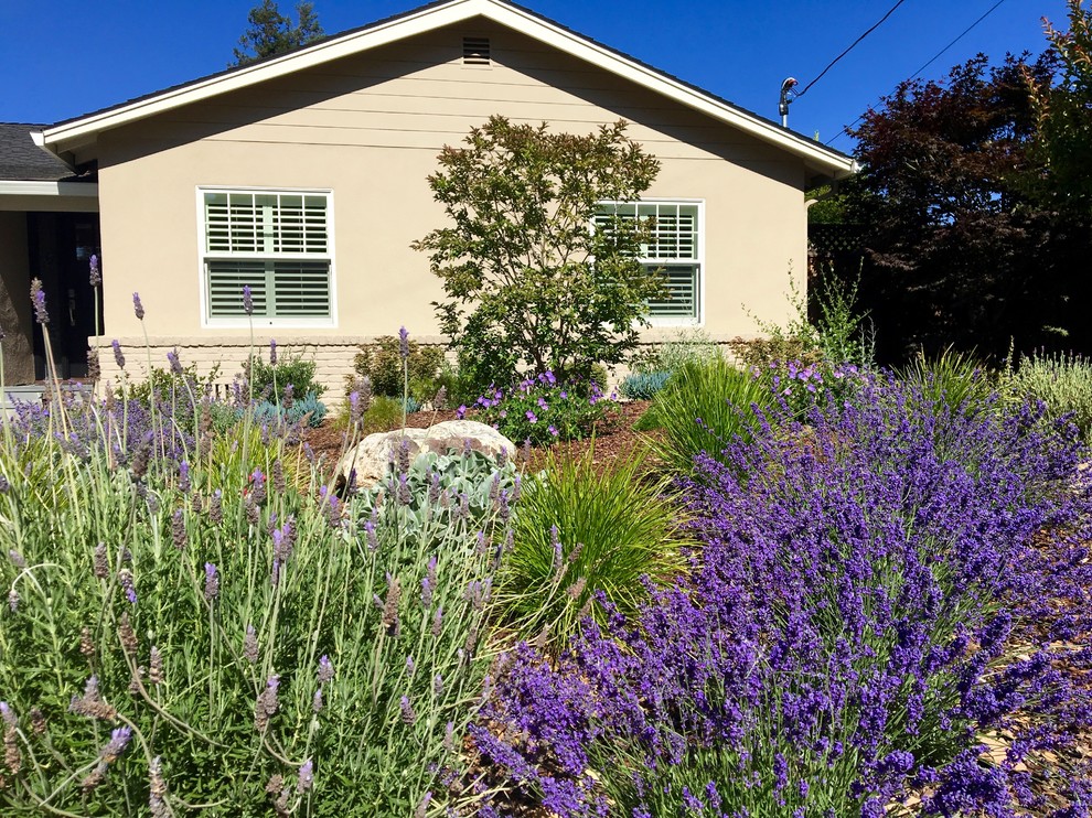 Los Altos No Lawn, Low Water - Contemporary - Landscape - San Francisco ...