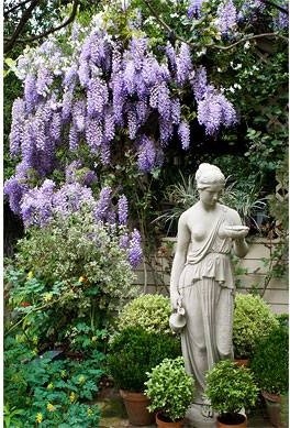 Los Angeles Landscape Design Selections - Traditional - Landscape - Los ...