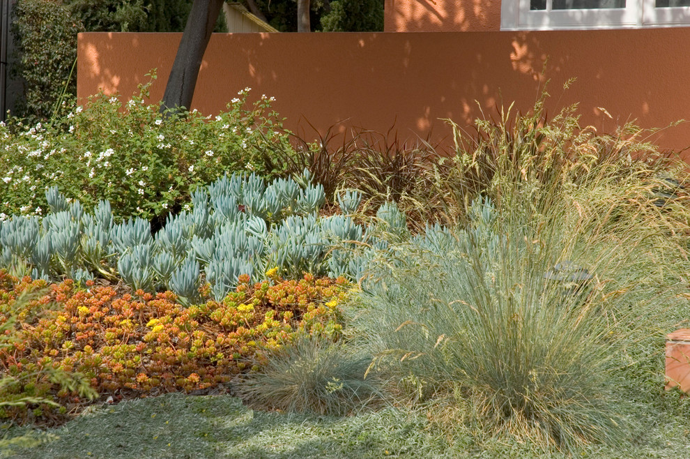 Los Angeles Neighborhood Friendly Garden - Mediterranean - Landscape ...