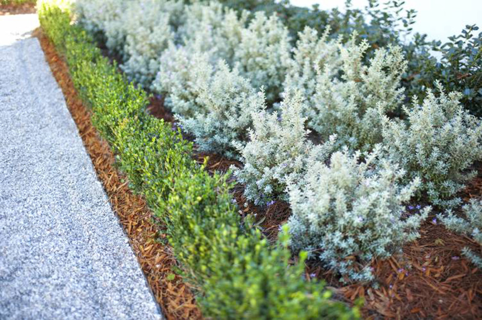 Louisiana Landscape Design - Traditional - Landscape - New Orleans - by ...