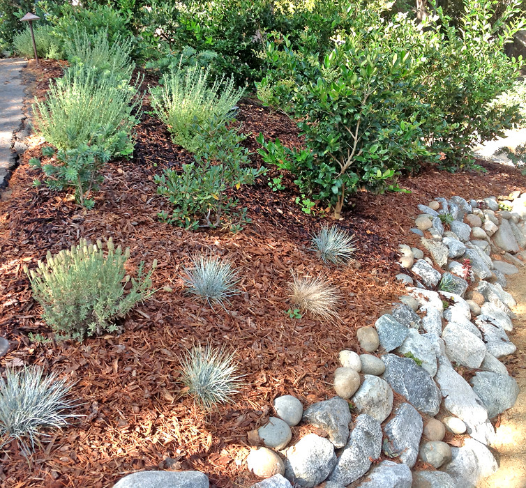 Low-Maintenance Landscape-Drought-tolerant Plants, Mulch & Rock Border - Traditional - Landscape ...