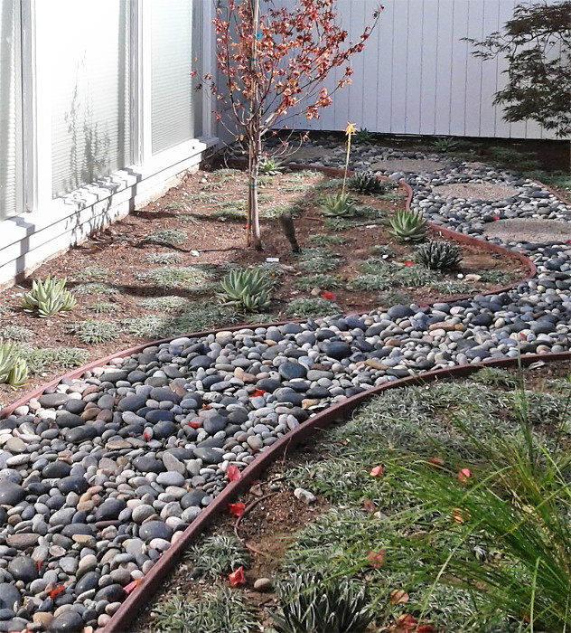 Low-Maintenance Landscape--Walkway, Ground Cover & Succulents ...