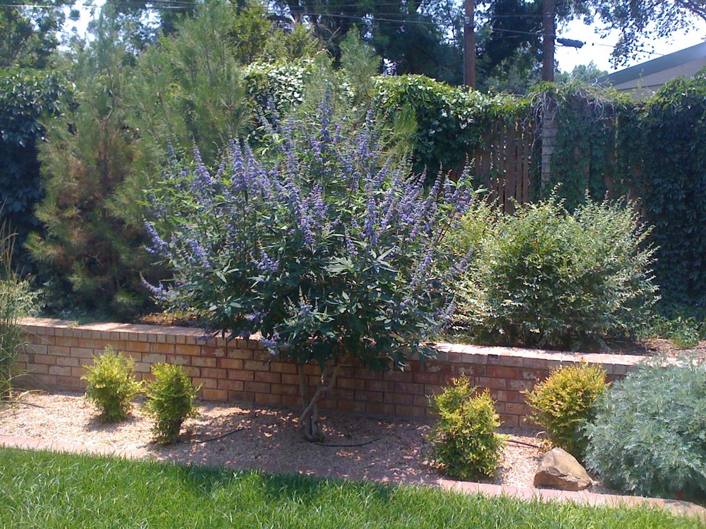 Lubbock Landscape Design Install Maintain - Traditional - Landscape ...