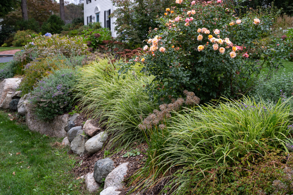 Lush Front Yard - Traditional - Landscape - Boston - by a Blade of ...
