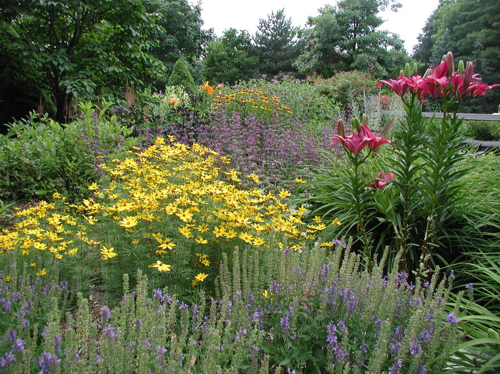 Lush Front Yard Gardens - Traditional - Landscape - Grand Rapids - by ...