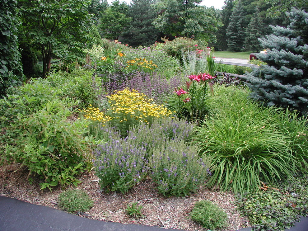 Lush Front Yard Gardens - Traditional - Landscape - Grand Rapids - by ...