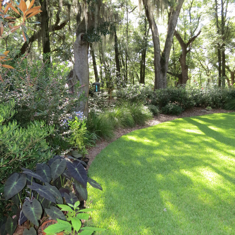 Lush Southern Varieties - Traditional - Landscape - Charleston - by ...