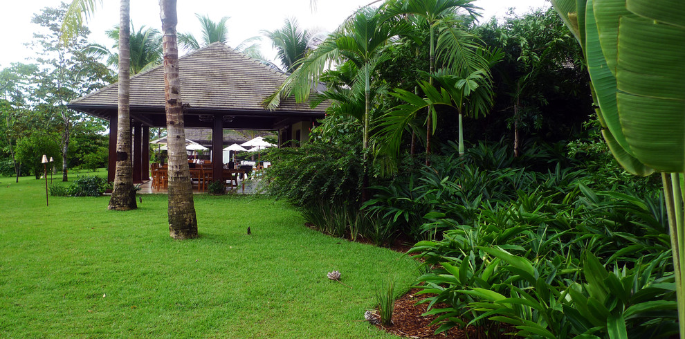 Luxury Eco Resort - Tropical - Landscape - Other - by ANDRES MONTERO ...