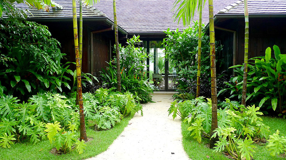 Luxury Eco Resort - Tropical - Landscape - Other - by ANDRES MONTERO LANDSCAPE ARCHITECTURE ...