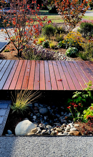 Magnolia Front Yard - Contemporain - Jardin - Seattle - par Banyon Tree ...