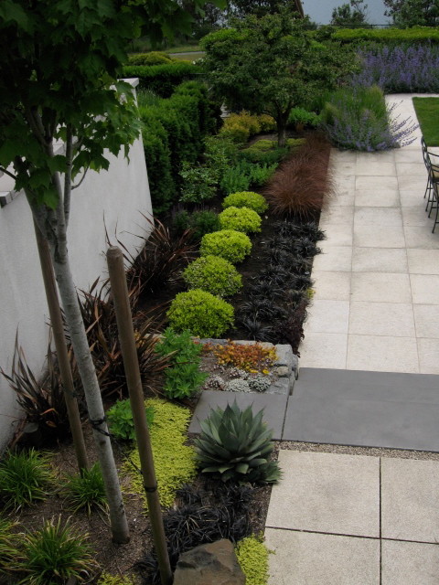 Magnolia - Modern - Landscape - Seattle - by Shapiro Ryan Design | Houzz
