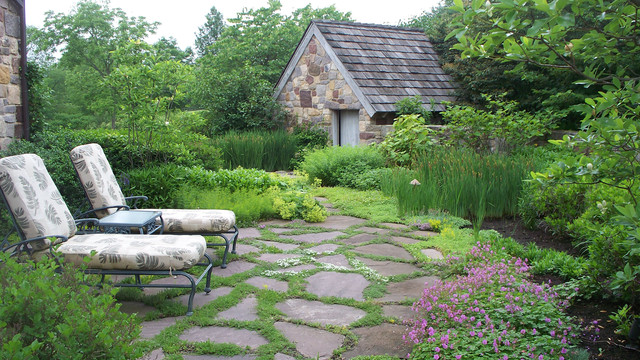Low-Maintenance Ground Covers to Go With Your Pavers