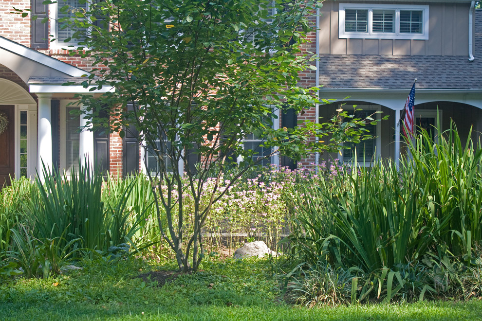 Malvern Front-Yard Rain Garden - Traditional - Landscape - Philadelphia ...